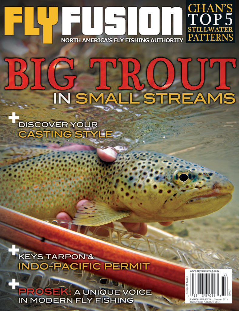Fly Fusion Volume 10, Issue 3 (Summer 2013)