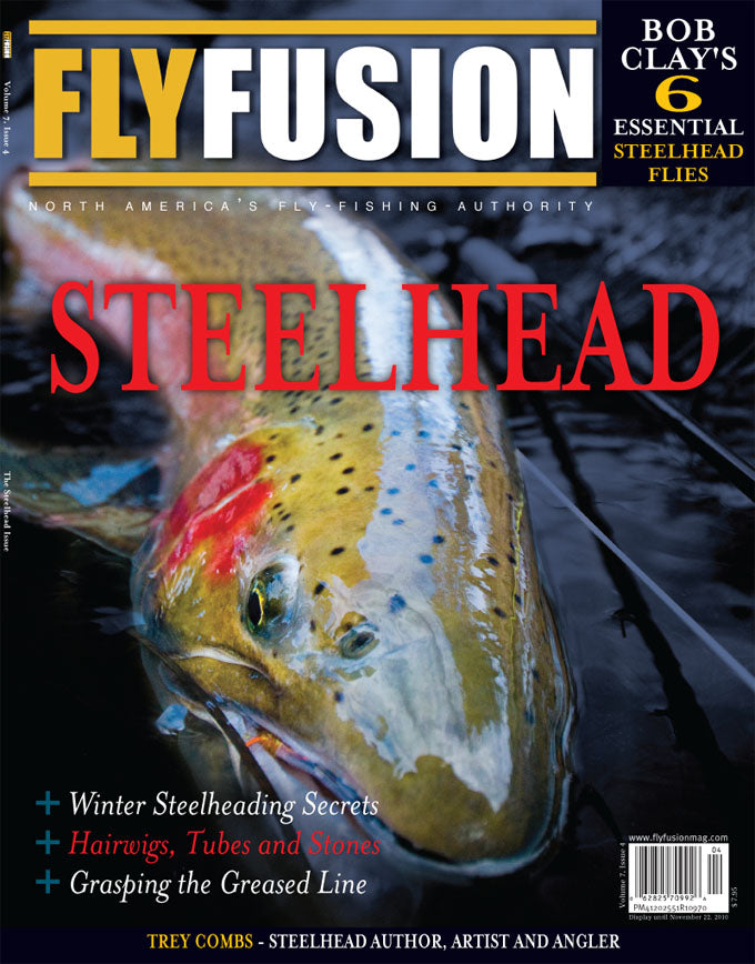 Fly Fusion Volume 7, Issue 4 (Fall 2010)